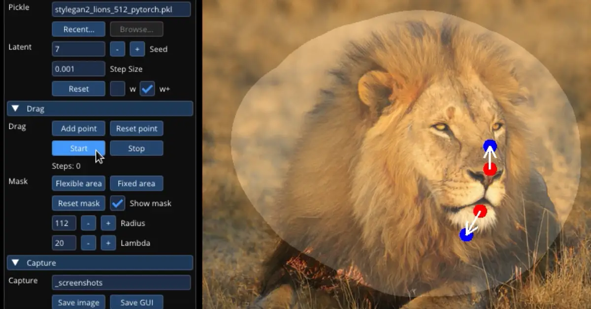 PlayGround - DragGAN AI Tool