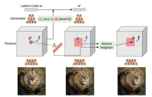 How does the DragGAN AI photo editor work? - DragGAN AI Tool