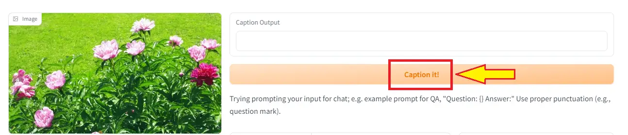 BLIP-2 AI: Image Captioning, Feature Extraction (Online Demo)