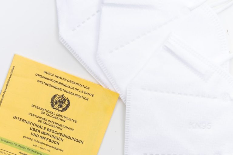 Using Iowa Secretary of State Search: Names, Filings, and UCC - DragGAN ...